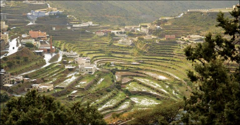 Saudi Arabia Expects Employment Boom During Taif Season Amid Tourism ...